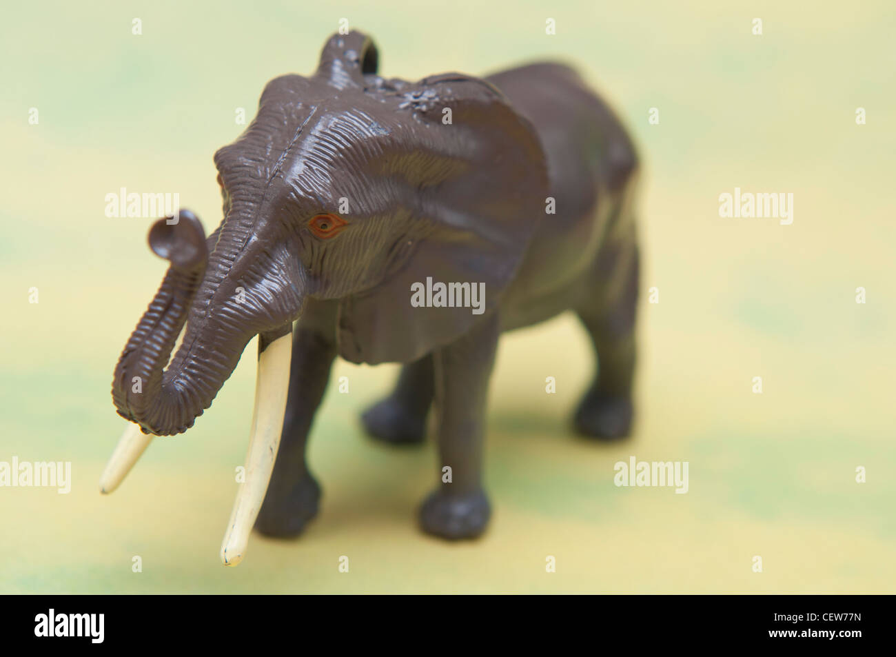 Elephant toy hi-res stock photography and images - Alamy