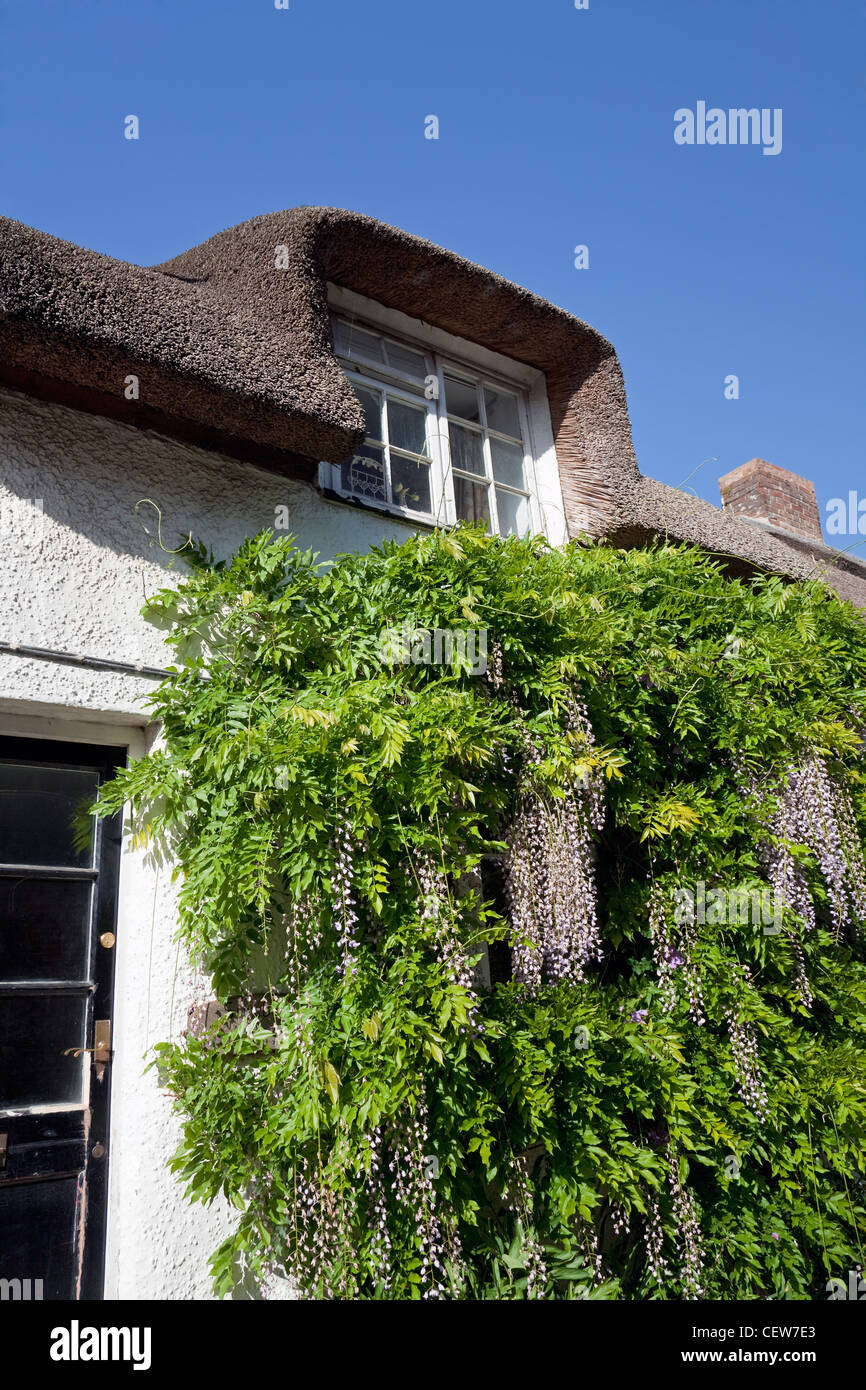 England Dorset Tolpuddle Traditional Thatched Cottage (Detail Stock ...