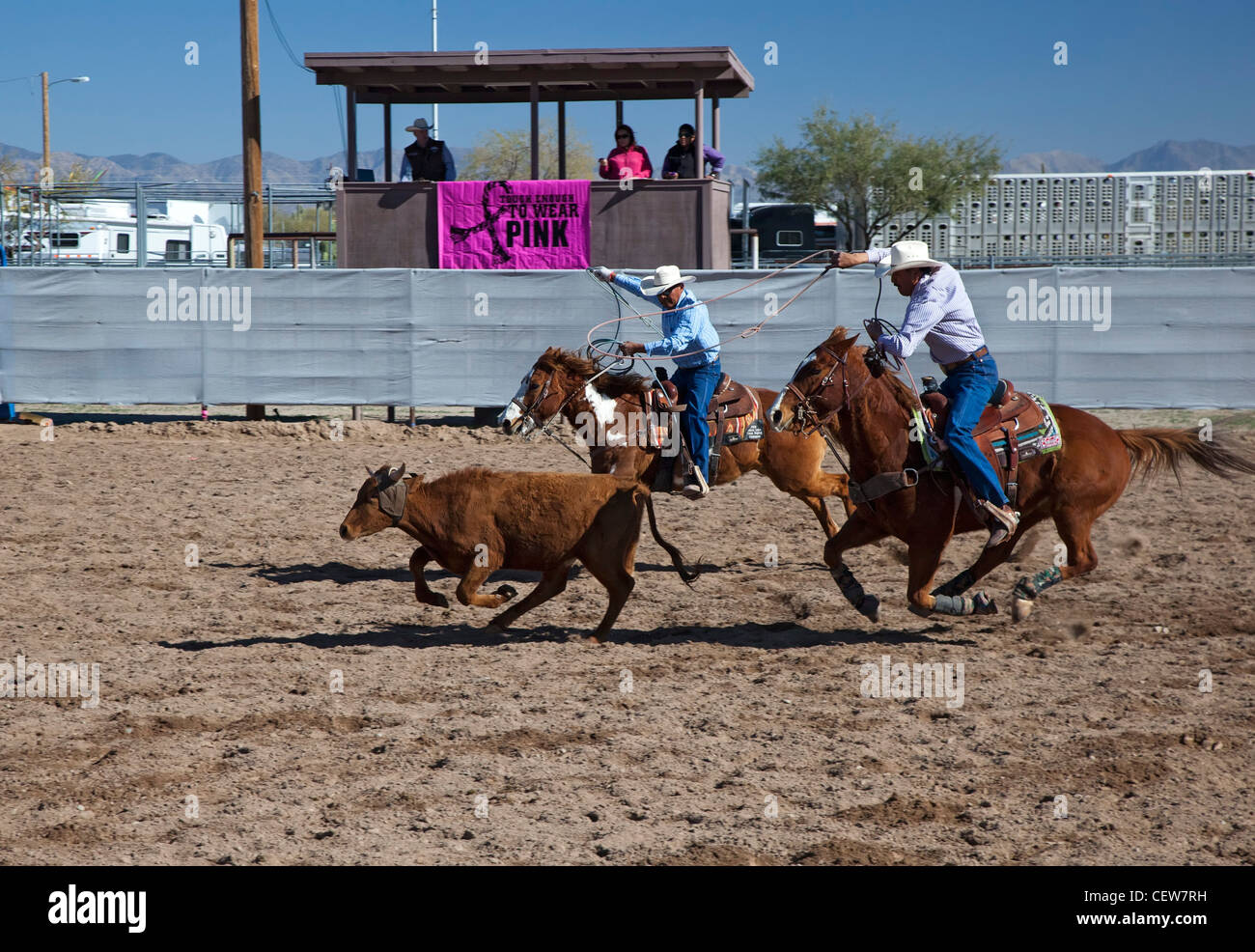 Sells, Arizona - The team roping competition in the Masters division ...