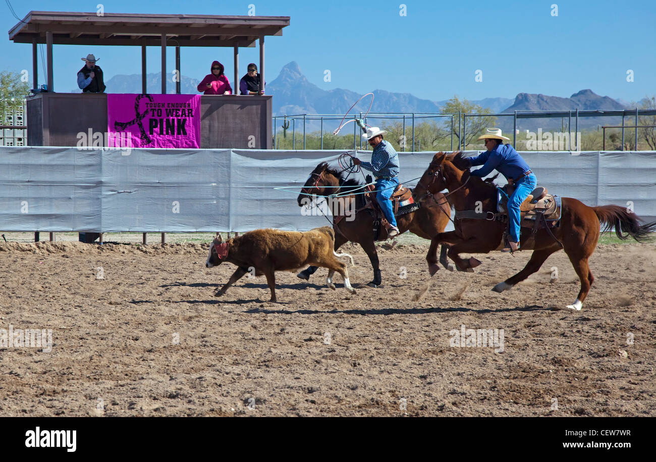 Team roping competition hi-res stock photography and images - Alamy