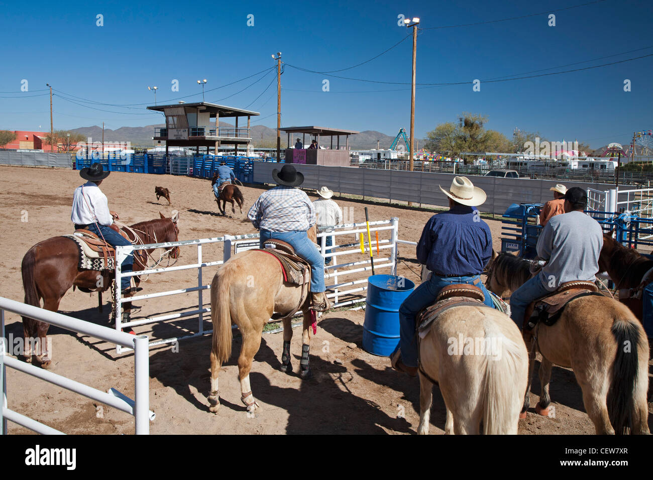 Sells, Arizona - The calf roping competition in the Masters division ...