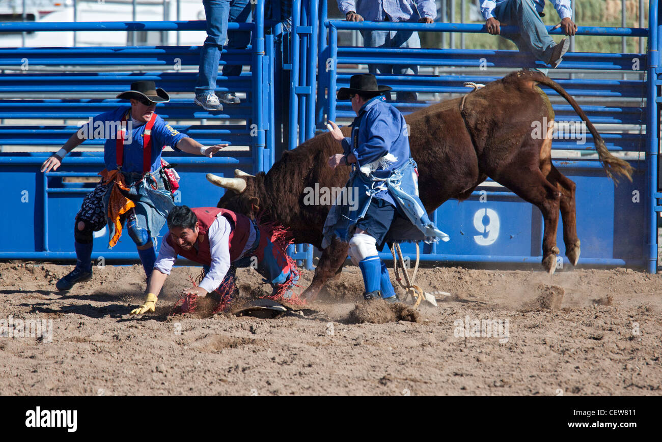 Sells, Arizona - The bull riding competition in the Masters division ...