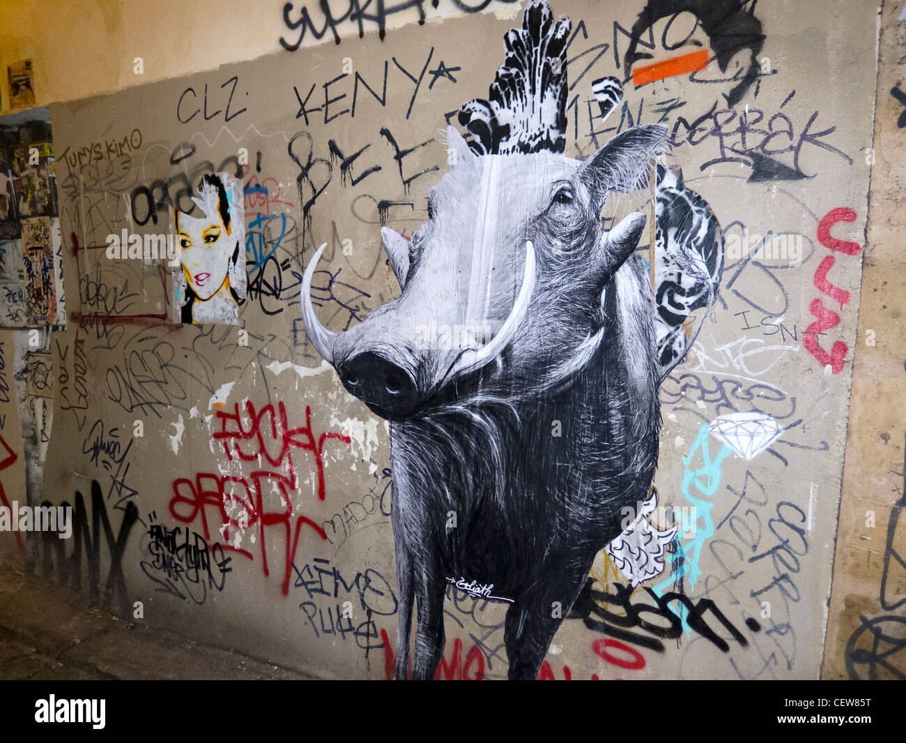 graffiti in Paris, France, wild boar Stock Photo - Alamy