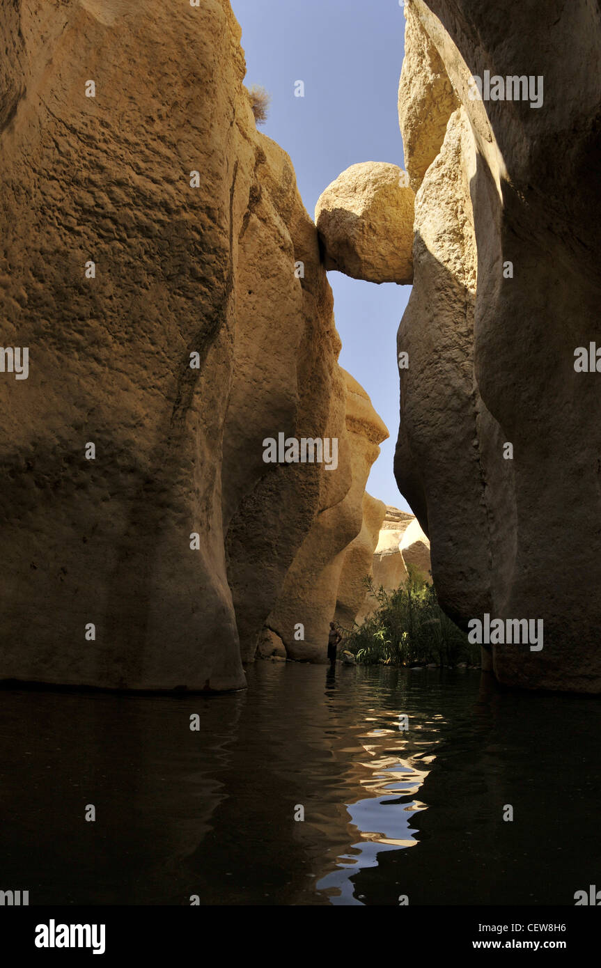 River running through a desert canyon Stock Photo - Alamy