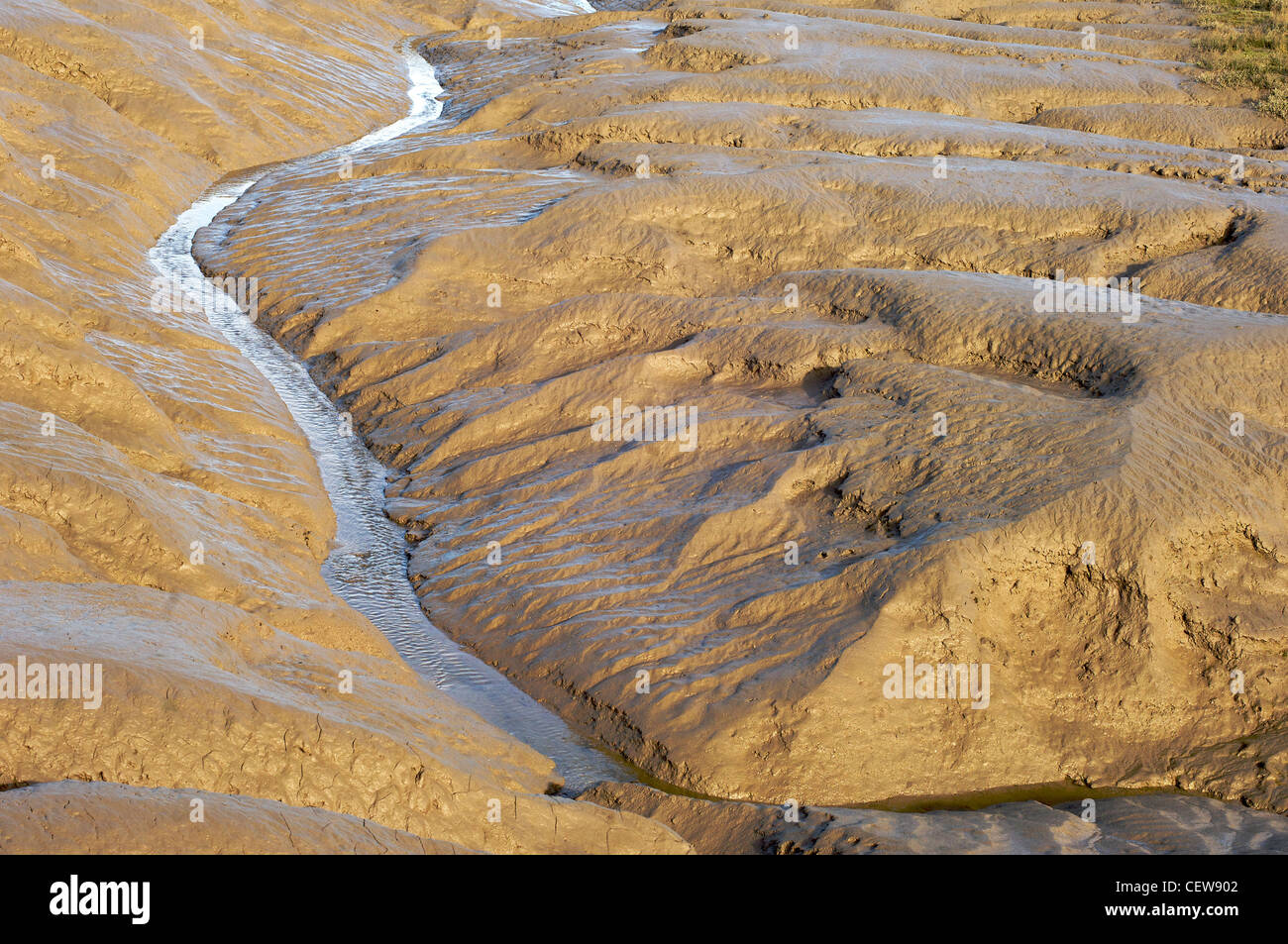 Quicksand is dangerous hi-res stock photography and images - Alamy