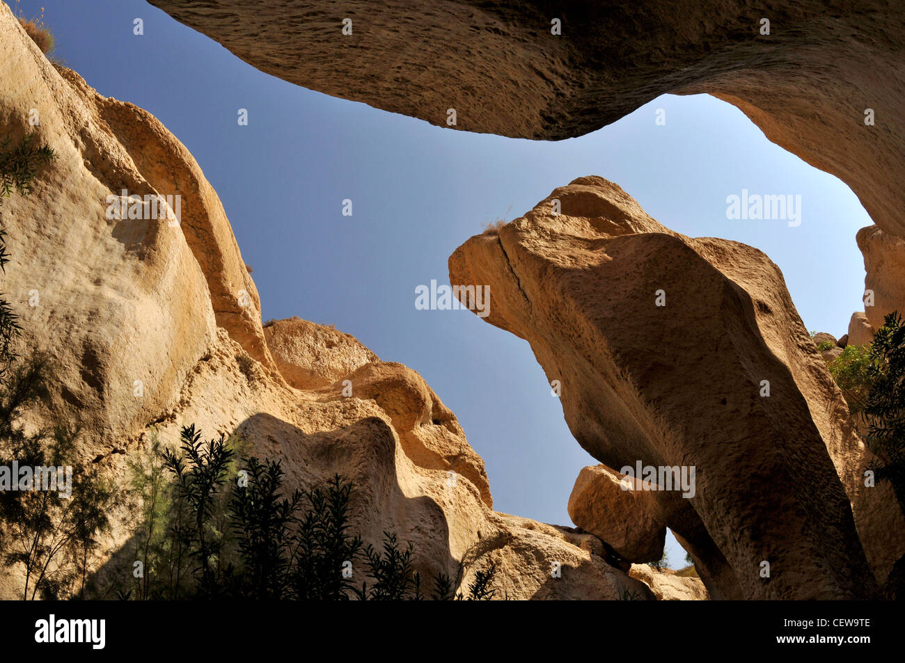 Desert canyon scene Stock Photo - Alamy