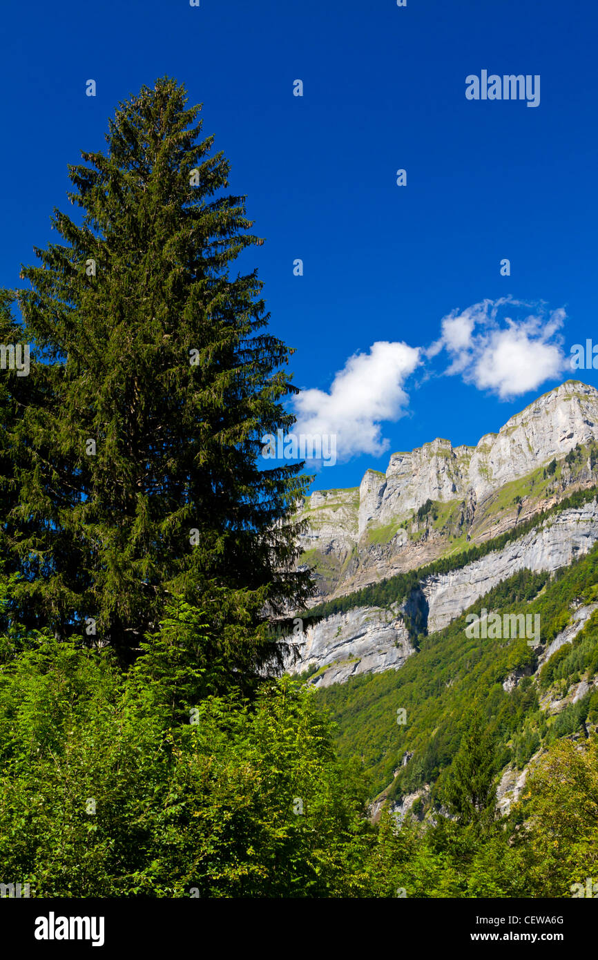 Limestone mountain cliffs at Sixt Fer a Cheval near Samoens in the ...