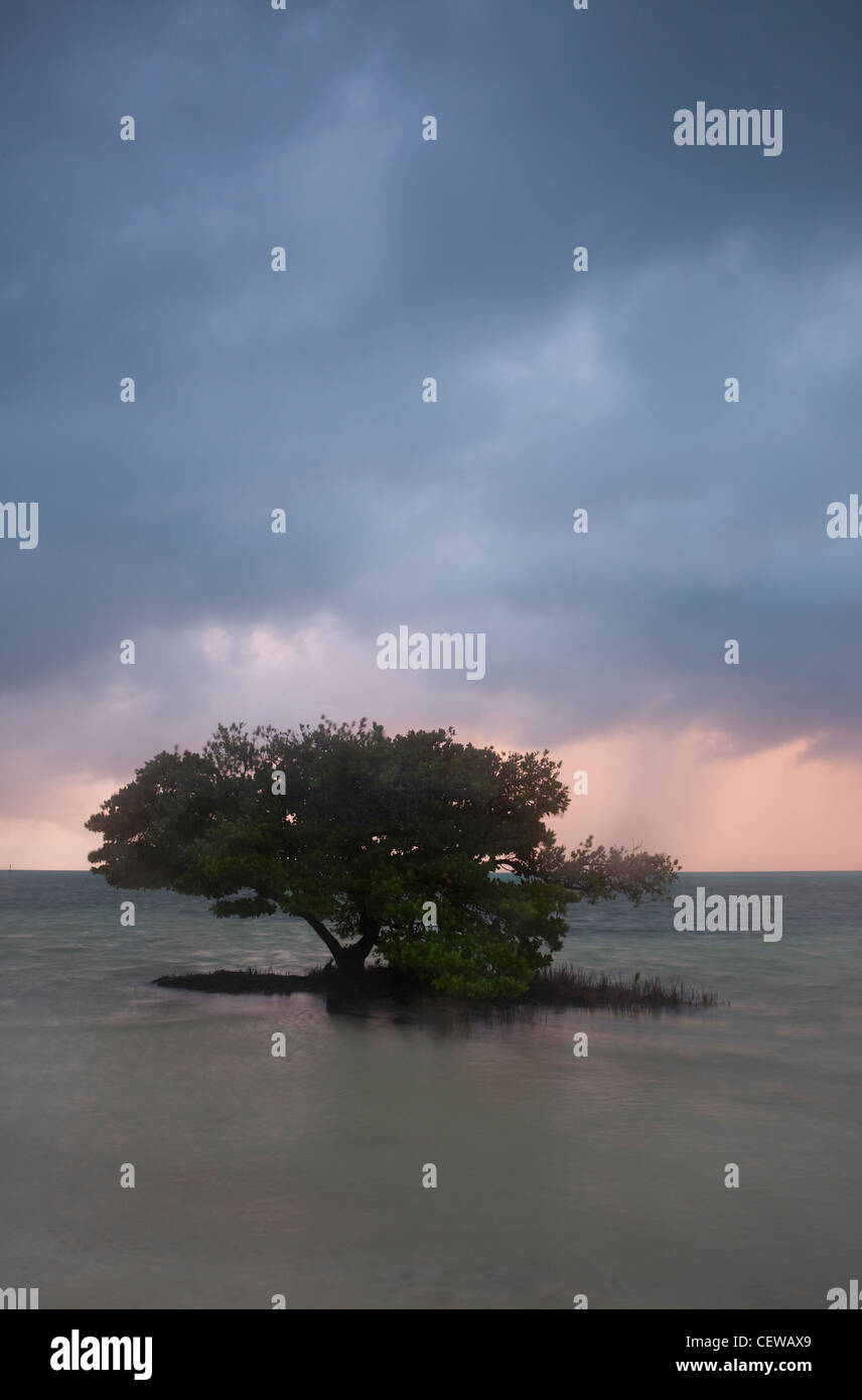 Florida keys key west key largo bahia hi-res stock photography and ...