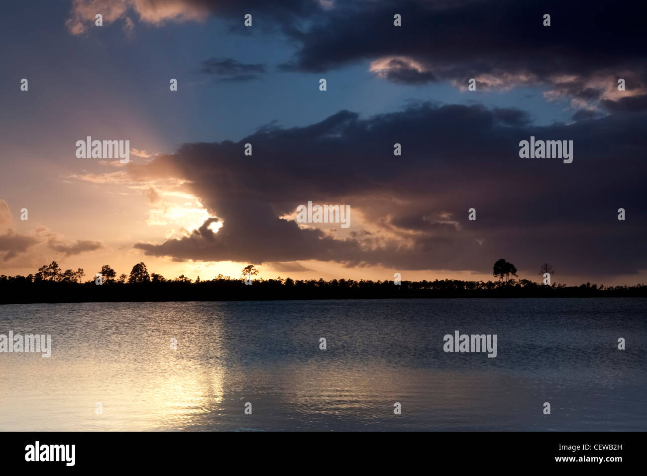 Sunset over swamp lake scene at the Everglades National Park, Florida ...