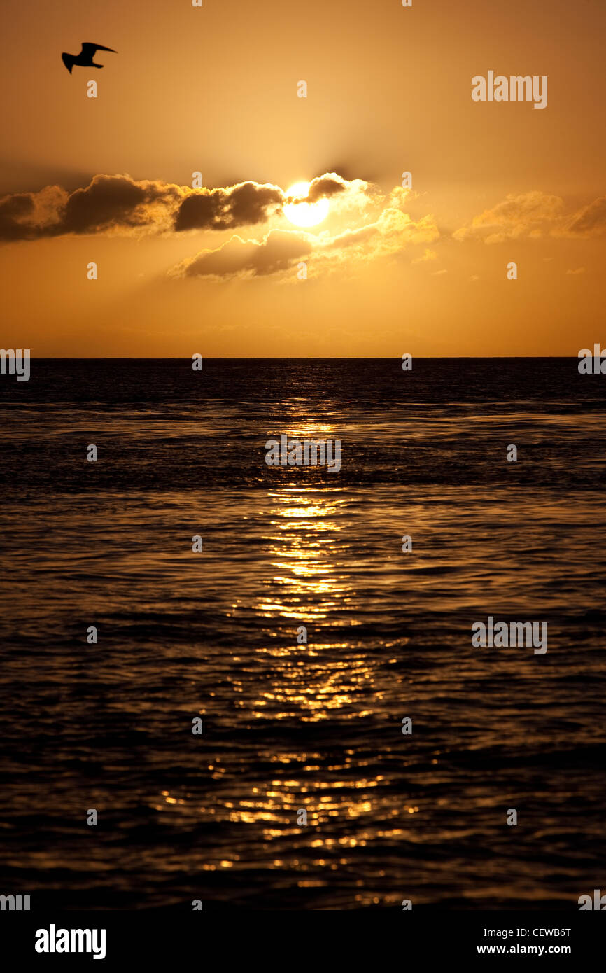 Sunbeams during sunset at Key West, Florida, USA Stock Photo - Alamy
