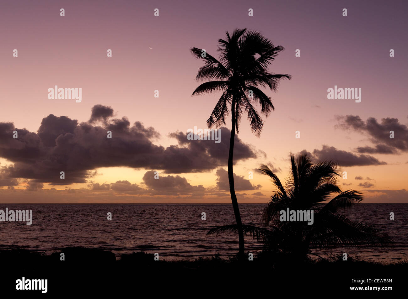 Florida keys key west key largo bahia hi-res stock photography and ...