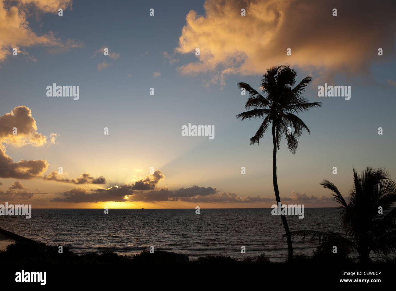 Dawn sunlight with palm trees at Bahia Honda Key, Florida, USA Stock ...