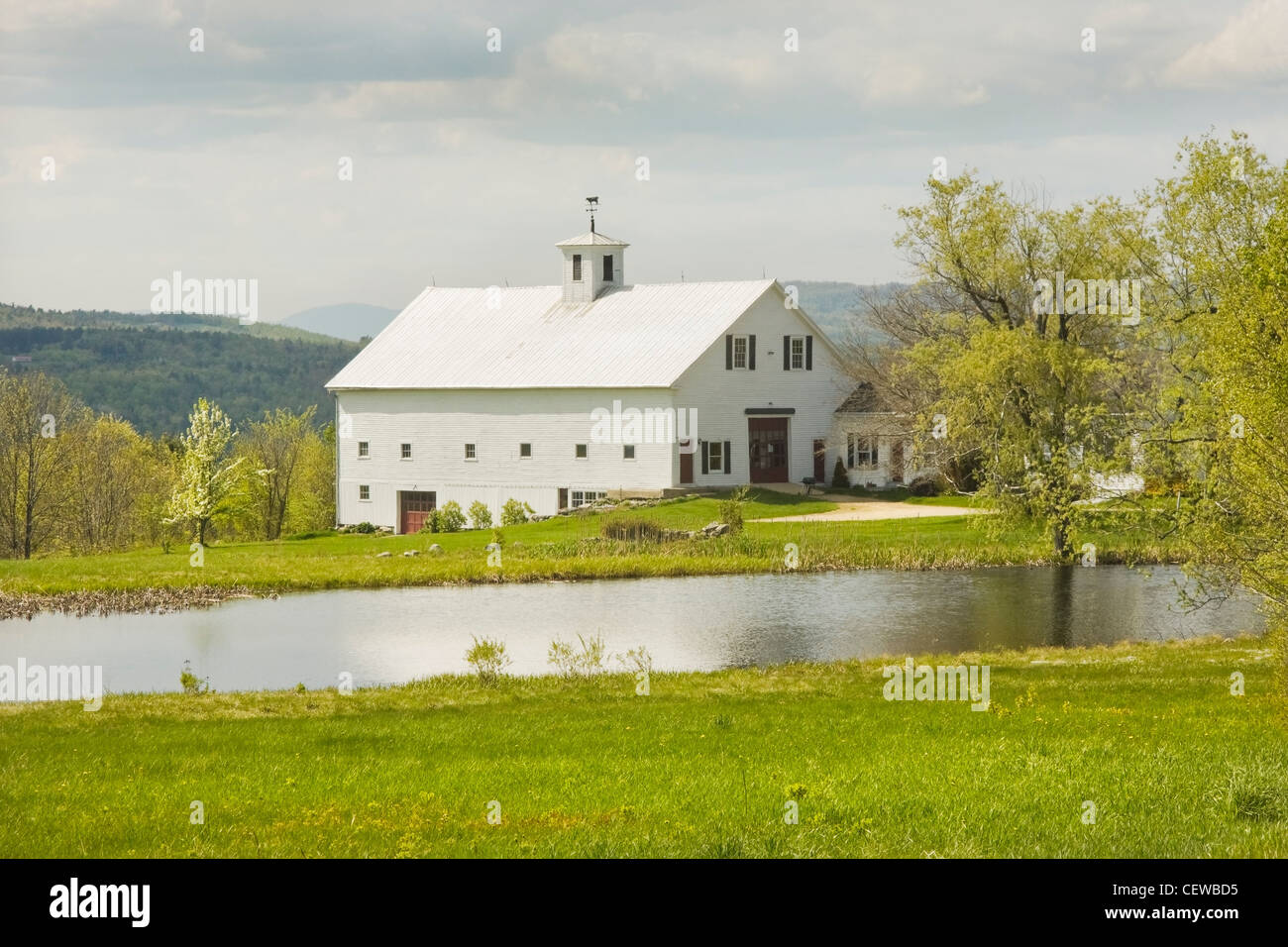 White barn in spring with pond Maine Stock Photo - Alamy