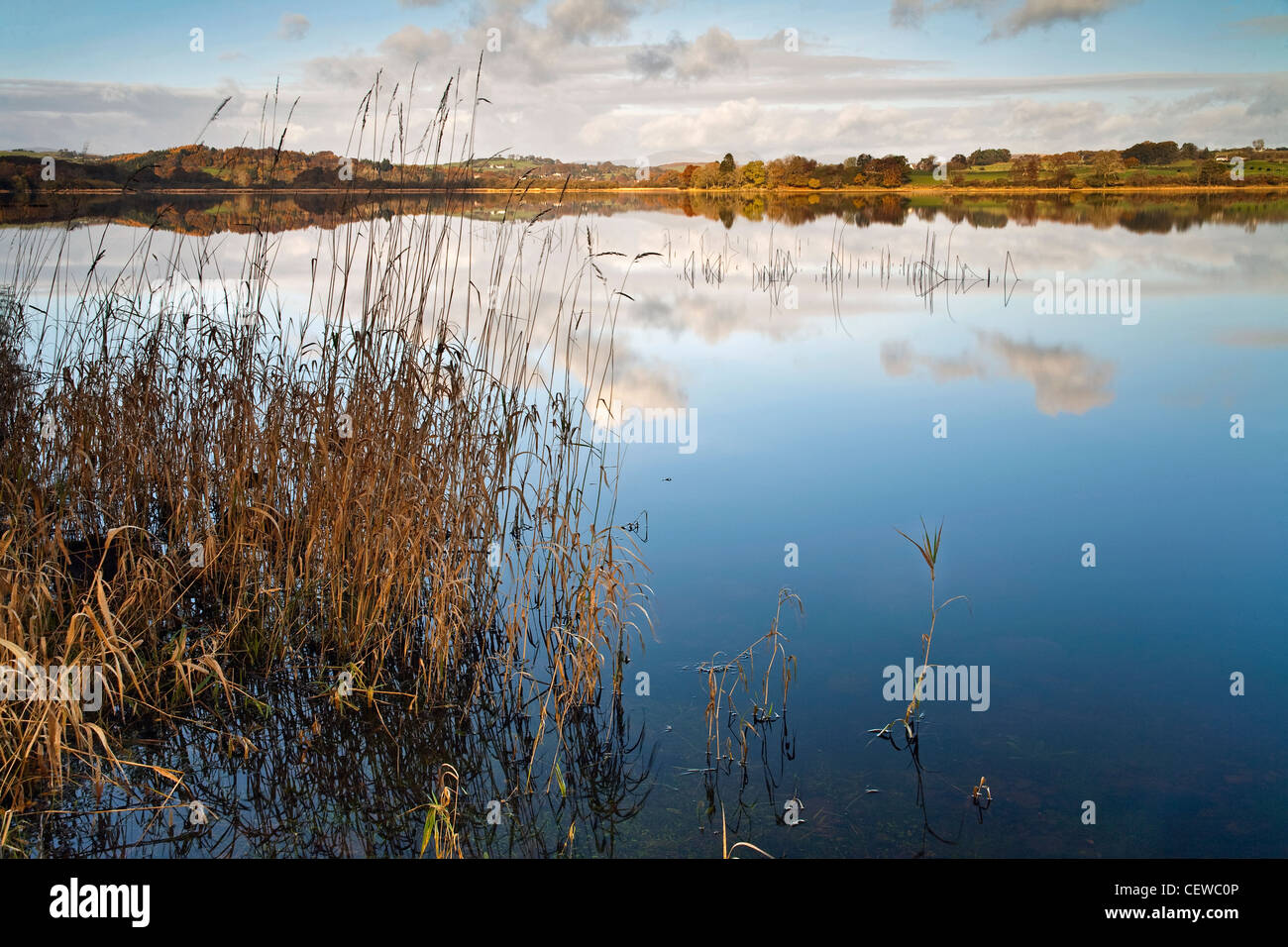 A view across Loch Ken in Dumfries and Galloway Scotland in autumn ...