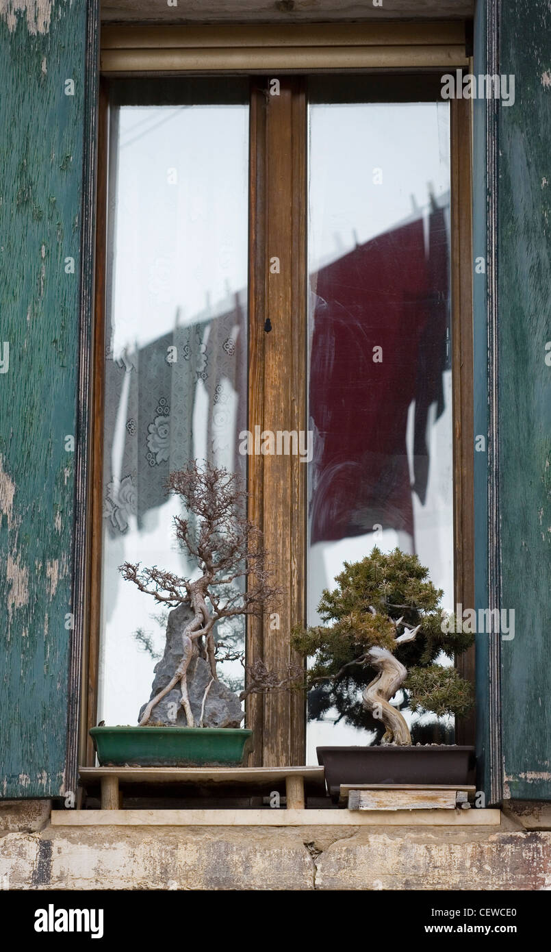 Traditional Italian window in venice Stock Photo - Alamy