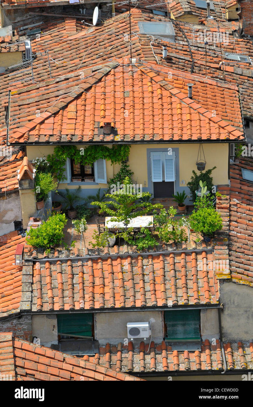 Rooftop Terraces from Torre Guinigi Tower Lucca Italy Tuscany Europe ...