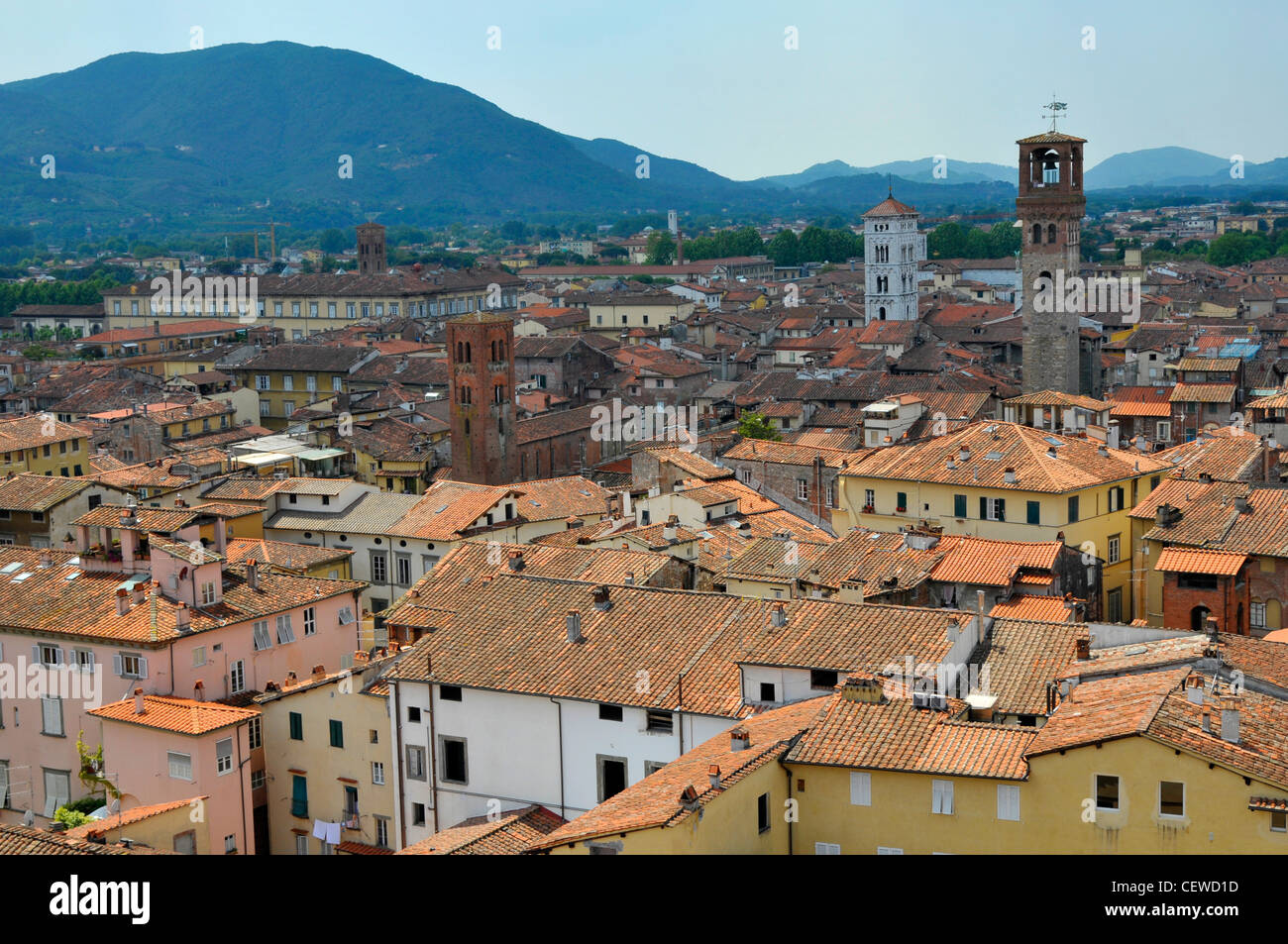 View from Torre Guinigi Tower Lucca Italy Tuscany Europe Mediterranean ...