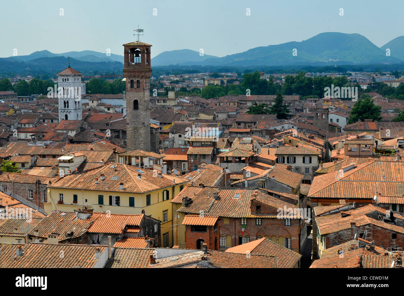 View from Torre Guinigi Tower Lucca Italy Tuscany Europe Mediterranean ...