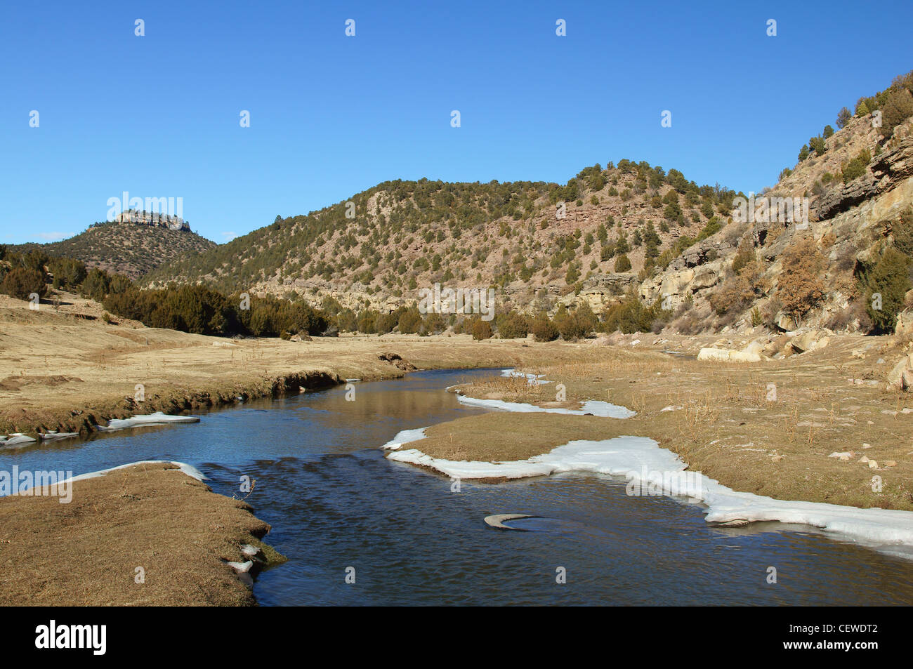 Gallinas hi-res stock photography and images - Alamy