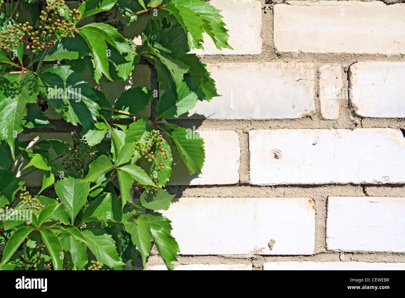 Grape brick hi-res stock photography and images - Alamy