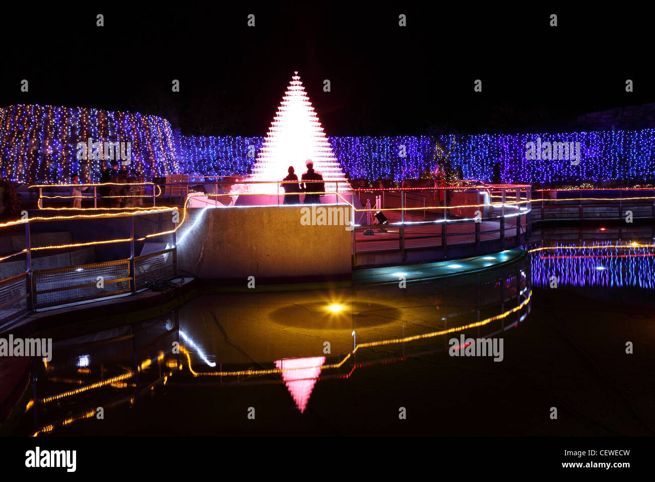 Illumination light at city park at night Stock Photo - Alamy