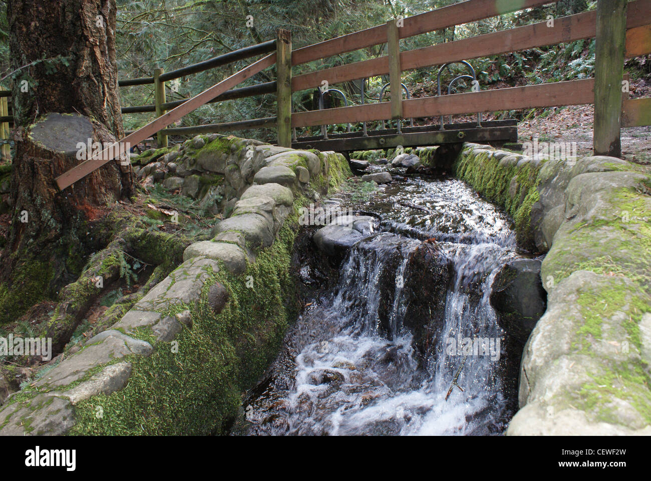 Stream goes under a bridge at Wildwood Park in Washington state Stock ...
