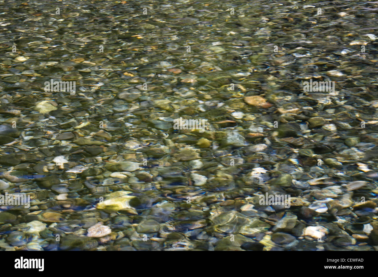 Rippled background showing pebbles through clear water Stock Photo - Alamy