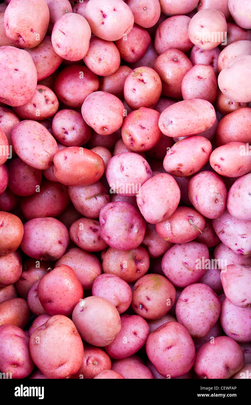 Freshly dug red potatoes on display at the farmer's market Stock Photo ...