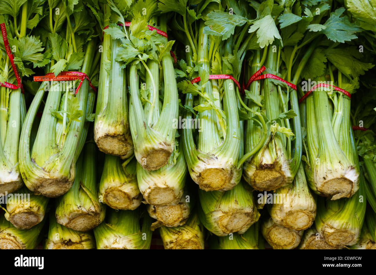 Freshly harvested green celery on display at the farmer's market Stock ...