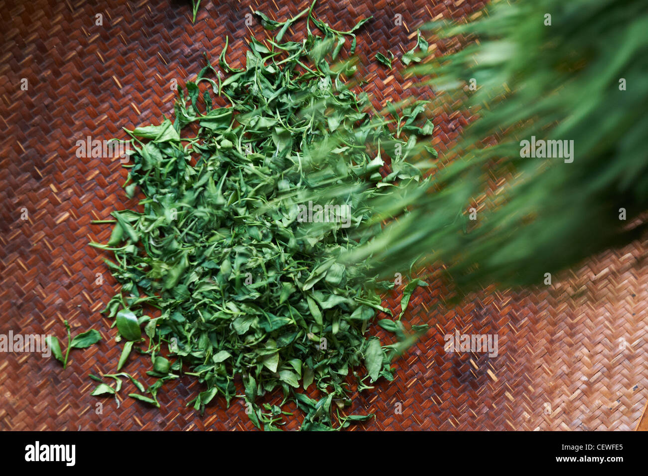 Tea dryer hi-res stock photography and images - Alamy