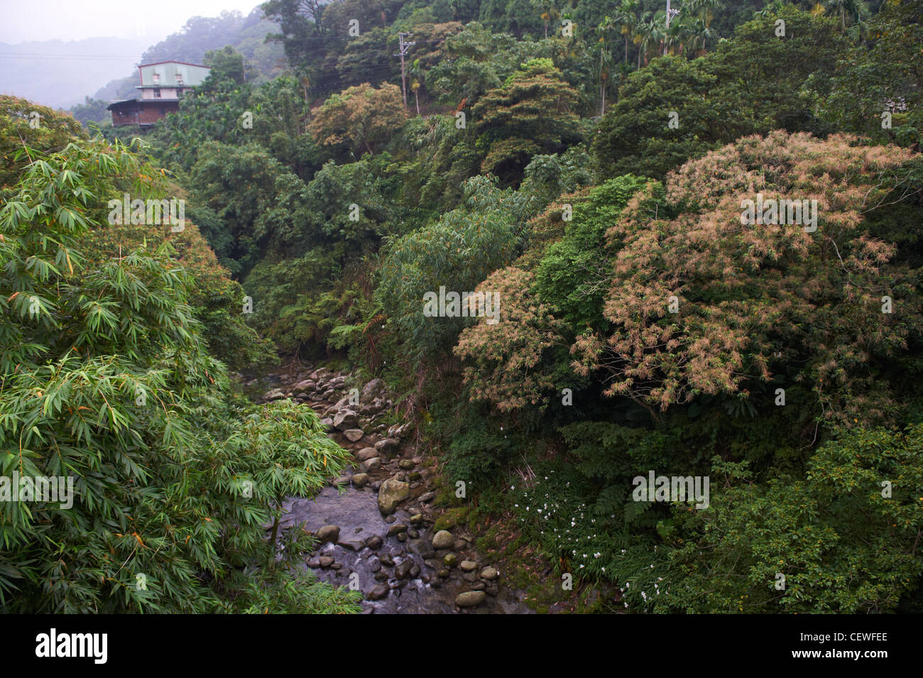 A stoney creek in Taiwan's countryside Stock Photo - Alamy