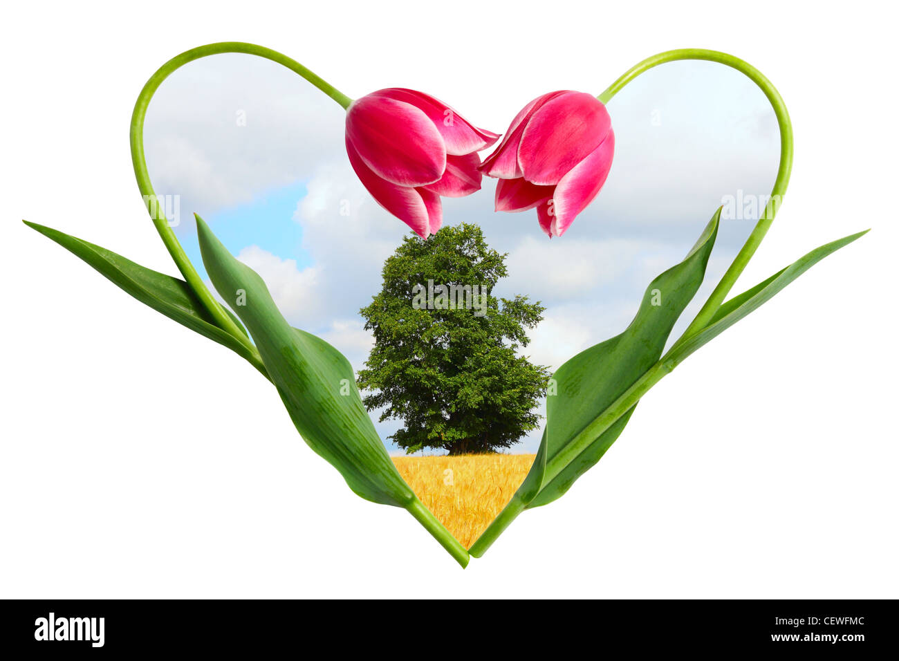 Landscape in a frame from two flowers making the form of heart Stock ...