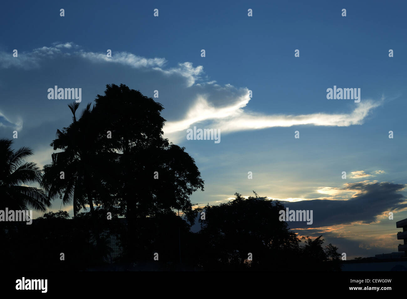 cool dramatic sunset behind tree in silhouette Stock Photo - Alamy