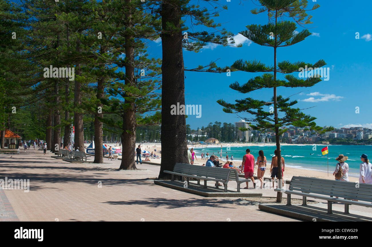 Manly promenade Sydney Australia Stock Photo - Alamy