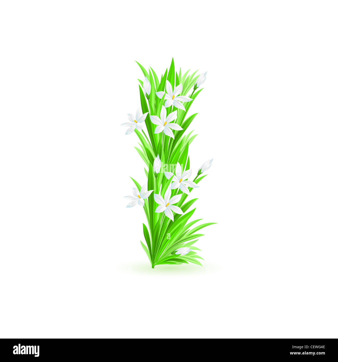 One letter of spring flowers alphabet - I. Illustration on white ...