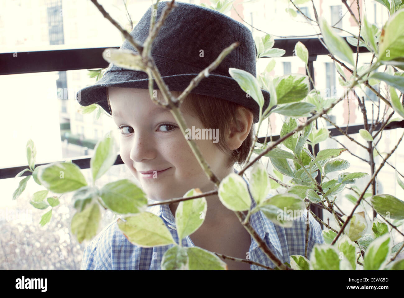 Boy looking through foliage at camera, portrait Stock Photo - Alamy