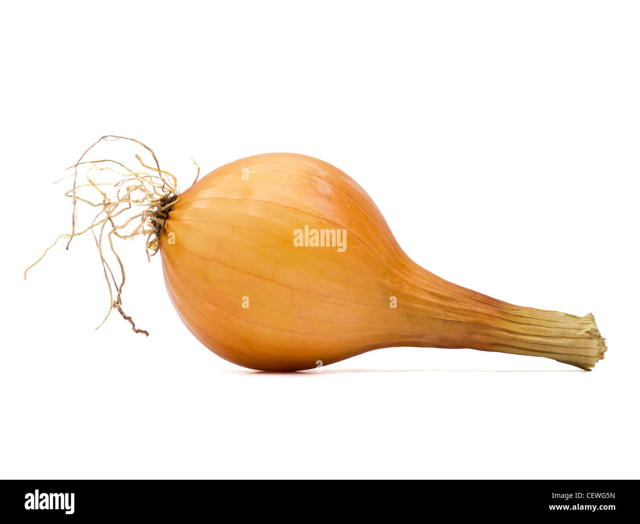 Onion detail Cut Out Stock Images & Pictures - Alamy