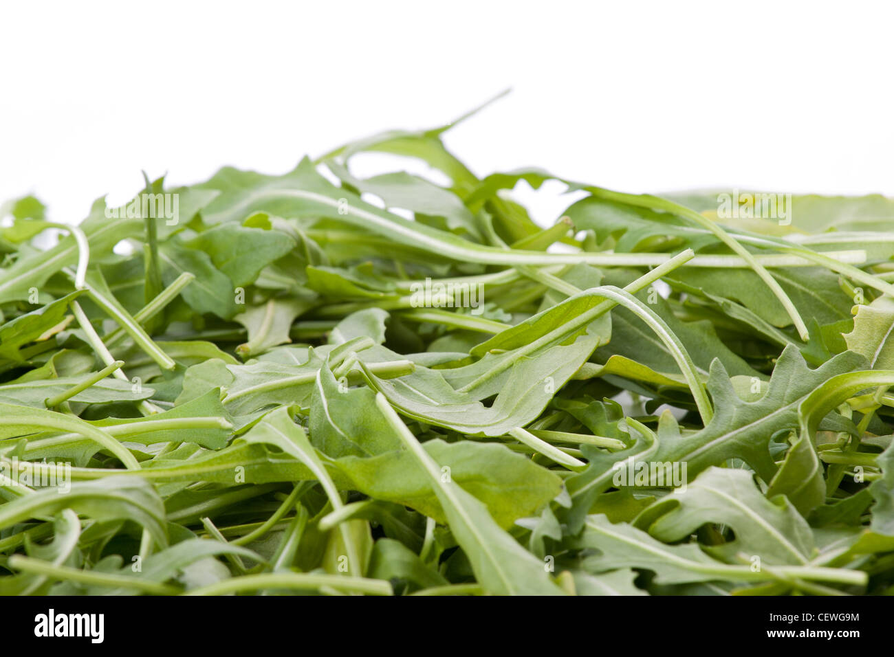 Ruccola leaf hi-res stock photography and images - Alamy