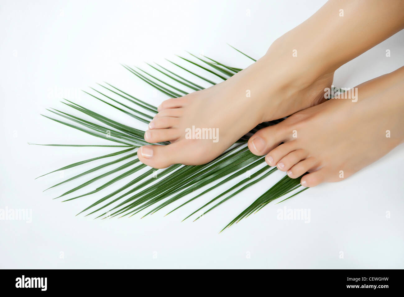 Woman's bare feet on palm frond Stock Photo - Alamy