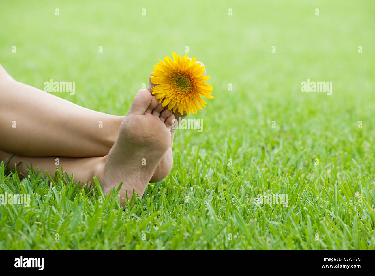 Feet Flower Toes Woman Stock Photos & Feet Flower Toes Woman Stock ...
