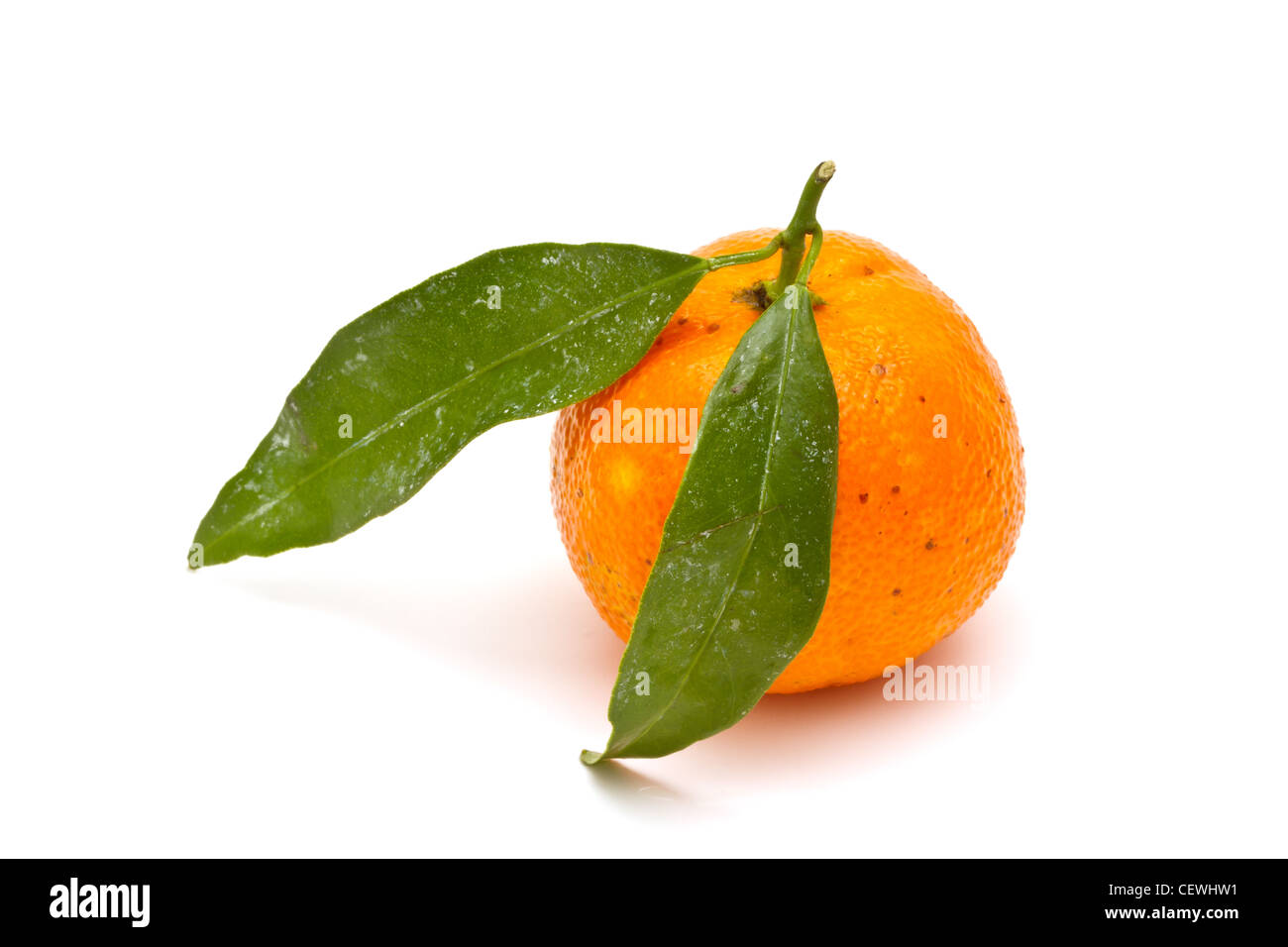 Tangerine juice on white Cut Out Stock Images & Pictures - Alamy