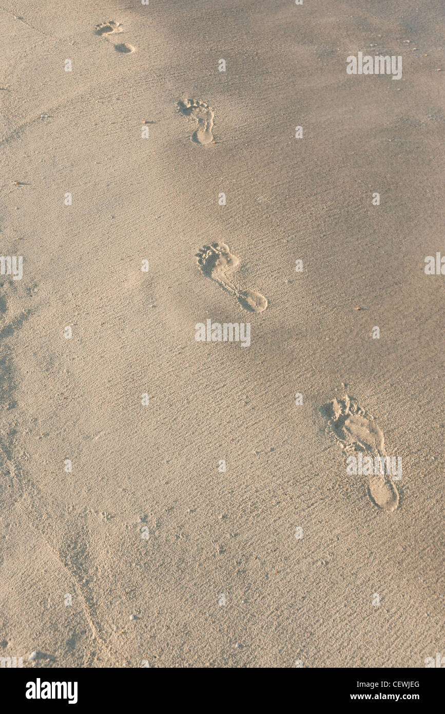 Footprints in sand, high angle view Stock Photo - Alamy