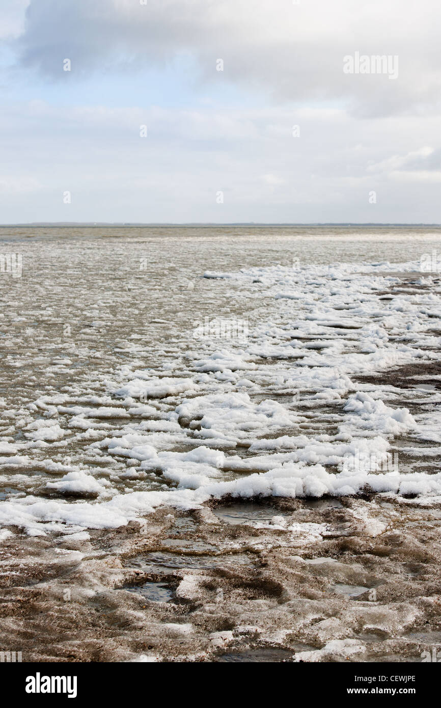 Drifting ice in the sea Stock Photo - Alamy