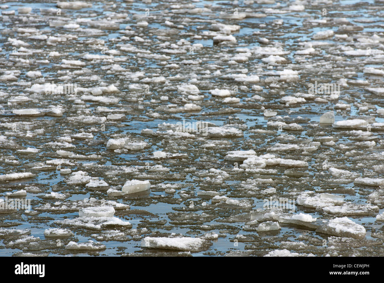 Drifting ice in the sea Stock Photo - Alamy