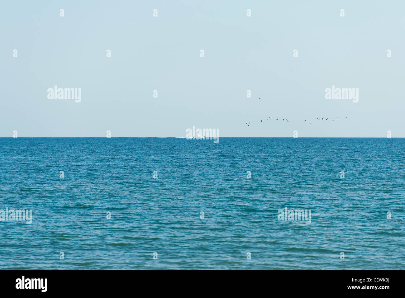 Bird flock in the far distance hi-res stock photography and images - Alamy