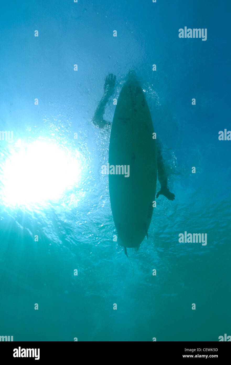 Underwater view from below surfer hi-res stock photography and images ...