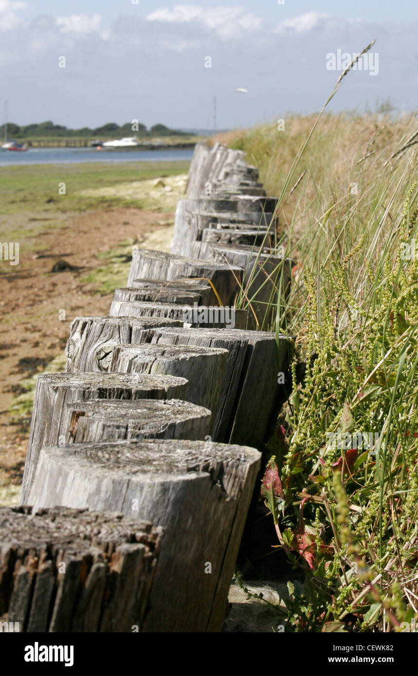A line of weathered wooden posts, next to a tidal beach and wild meadow ...