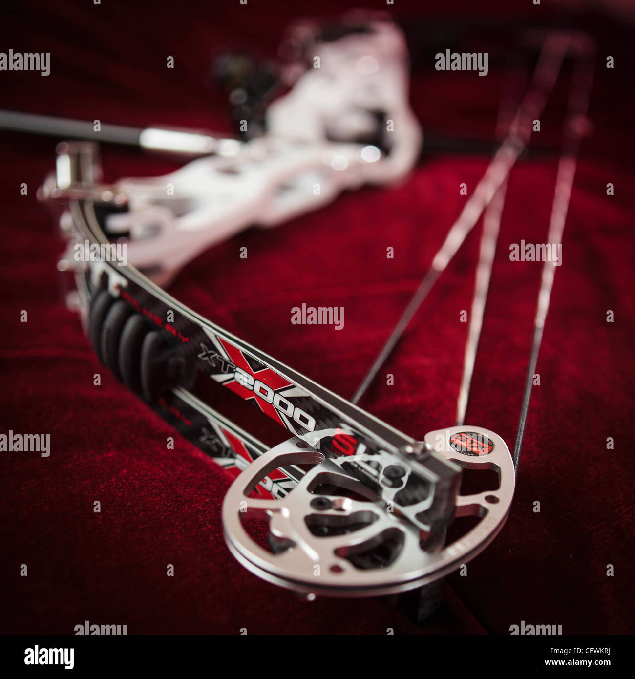 Hoyt Contender Elite compound bow in white Stock Photo - Alamy