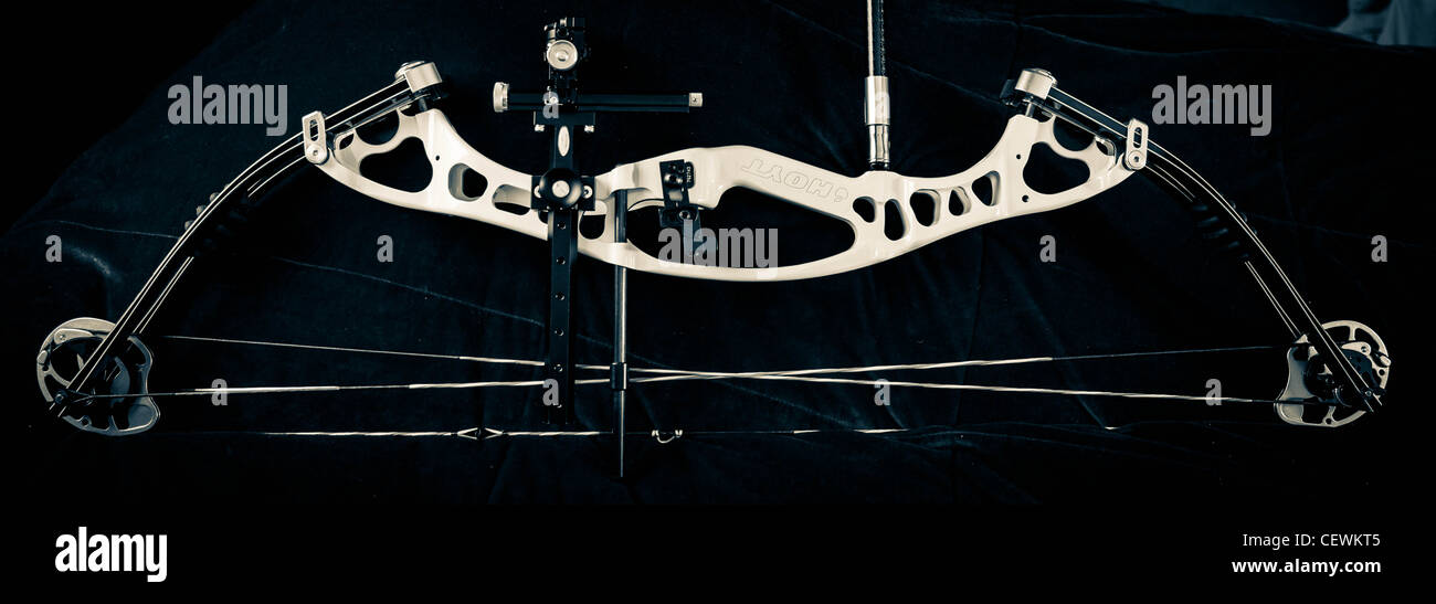Hoyt Contender Elite compound bow in white Stock Photo - Alamy