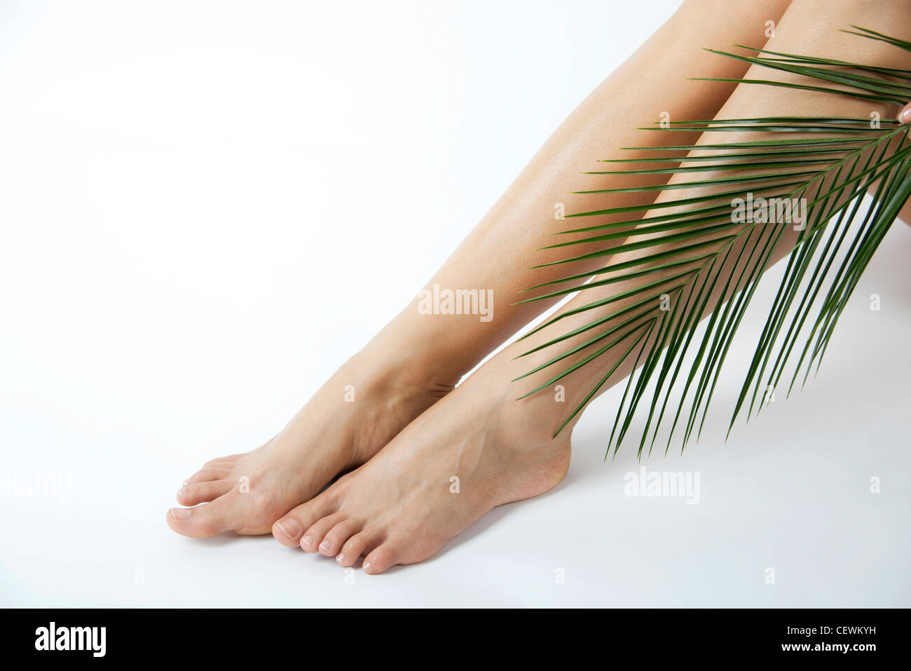 Woman holding palm frond against bare legs, cropped Stock Photo - Alamy